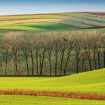 Homepage - Gran Moravia hard cheese