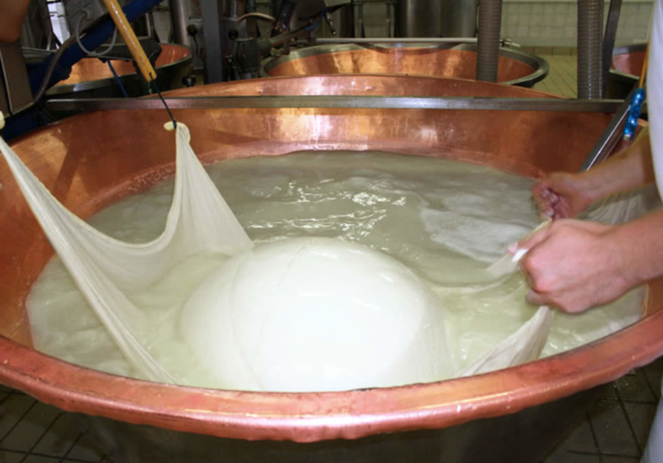 Gran Moravia hard cheese - Gran Moravia